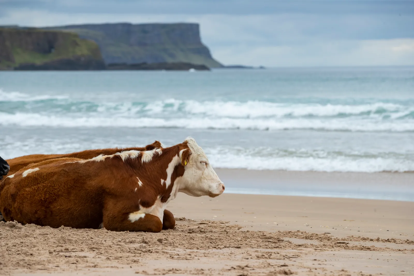 Go Visit Northern Ireland