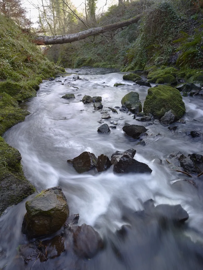 Glenoe Waterfall - GoVisit Northern Ireland | Places to Stay, Eat & Explore