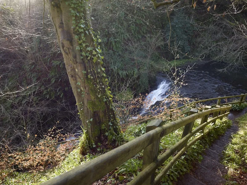 Glenoe Waterfall - GoVisit Northern Ireland | Places to Stay, Eat & Explore