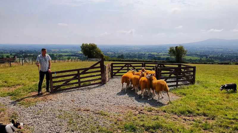 Glenshane Country Farm - GoVisit Northern Ireland | Places to Stay, Eat ...